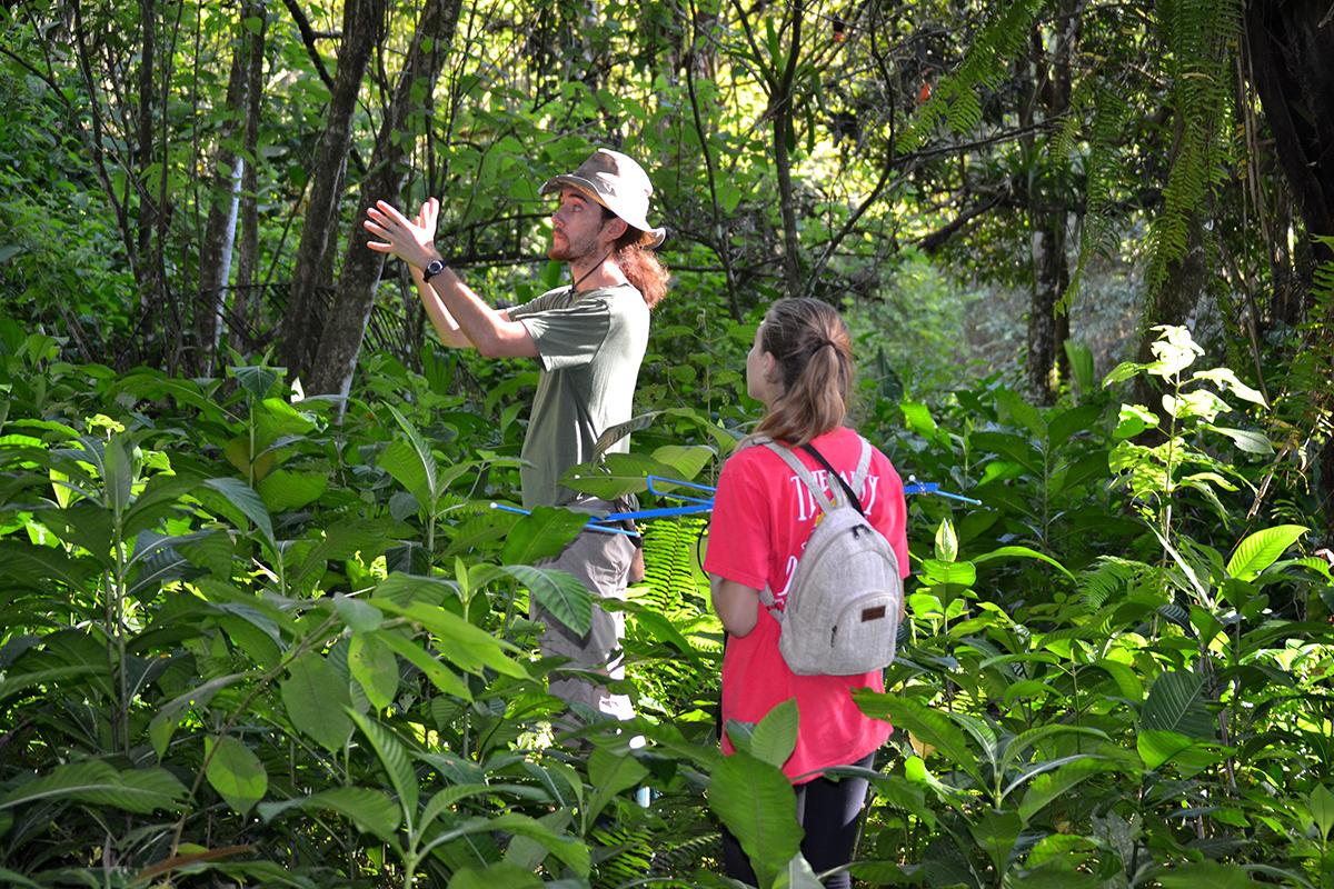 Aid Sloth Conservation And Wildlife Protection | The Great Projects