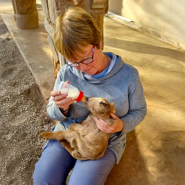 Our Top Cheeky Monkeys | The Great Projects