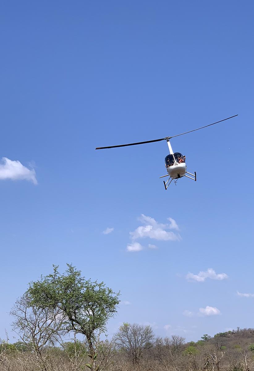 The Great Rhino Rescue Mission | The Great Projects