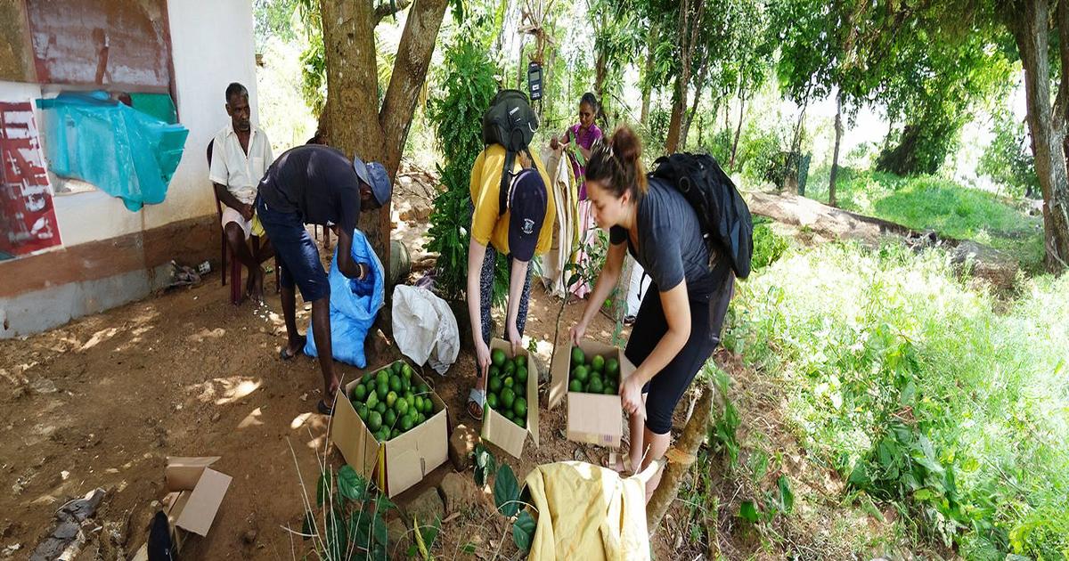 Update on The Great Elephant Project | The Great Projects