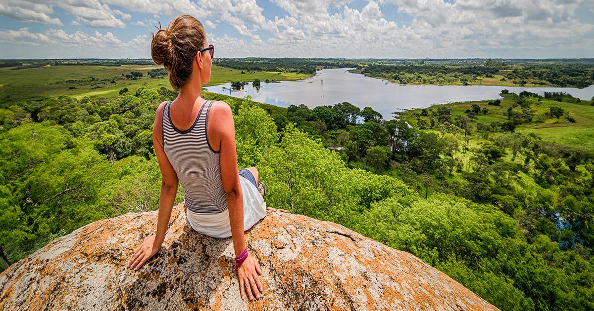 Become A Last-Minute Wildlife Volunteer | The Great Projects