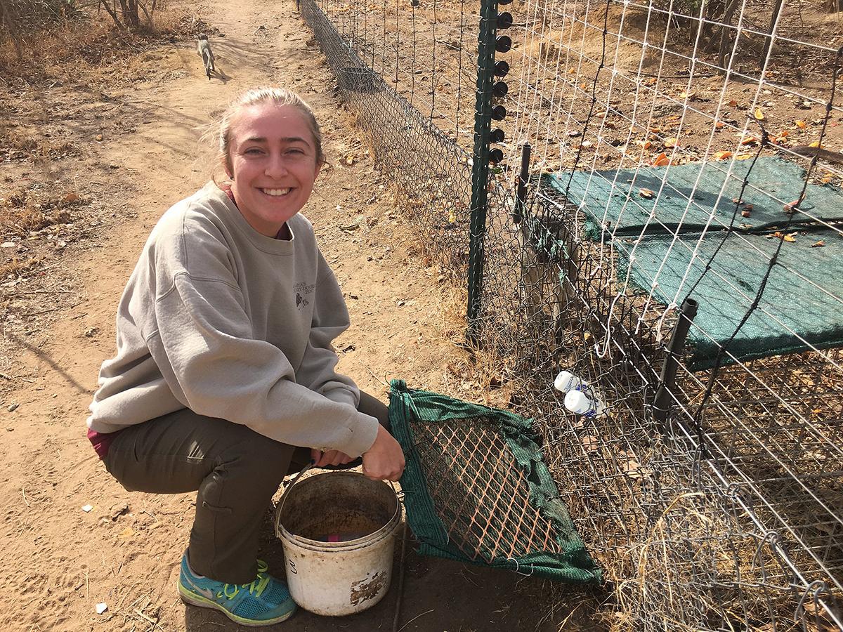 Volunteer at the Vervet Monkey Sanctuary | The Great Projects
