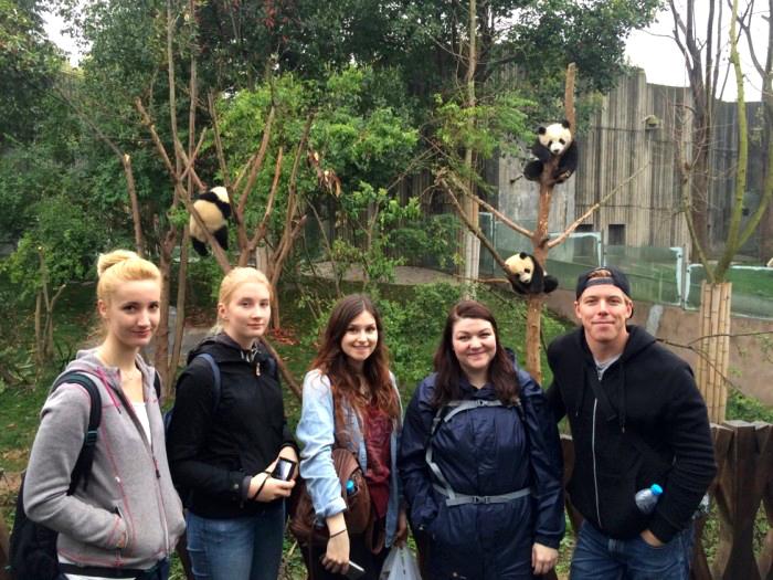 Volunteer With Pandas In China | The Great Projects