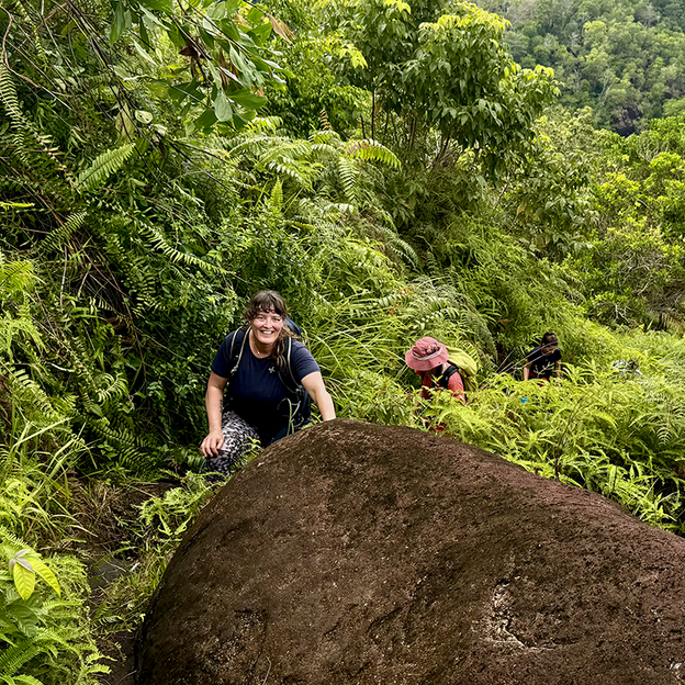 The Evolution Of The Orangutan | The Great Projects