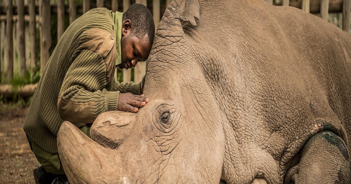 The Species Which Went Extinct in 2018 | The Great Projects