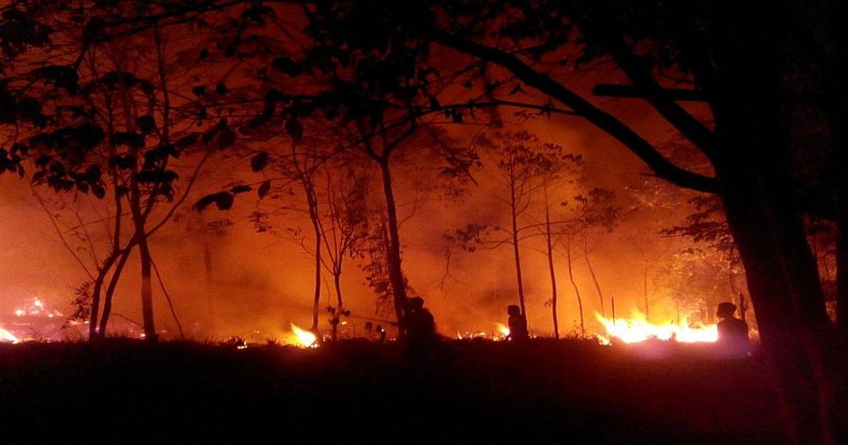 Borneo forest fire in Indonesia stopped! | The Great Projects