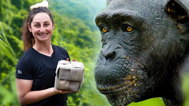 Chimp Eden - The Jane Goodall Institute | The Great Projects