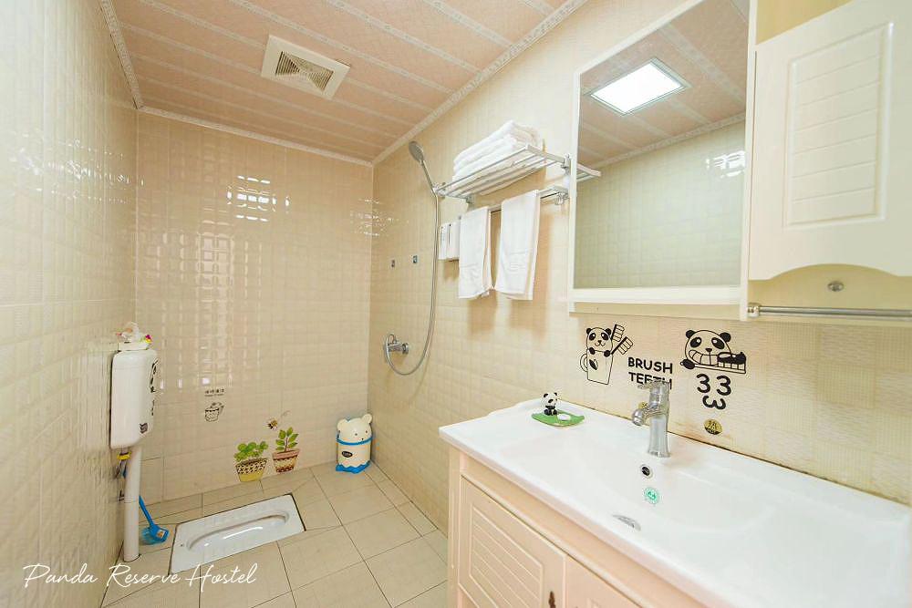 Volunteer With Pandas In China | The Great Projects