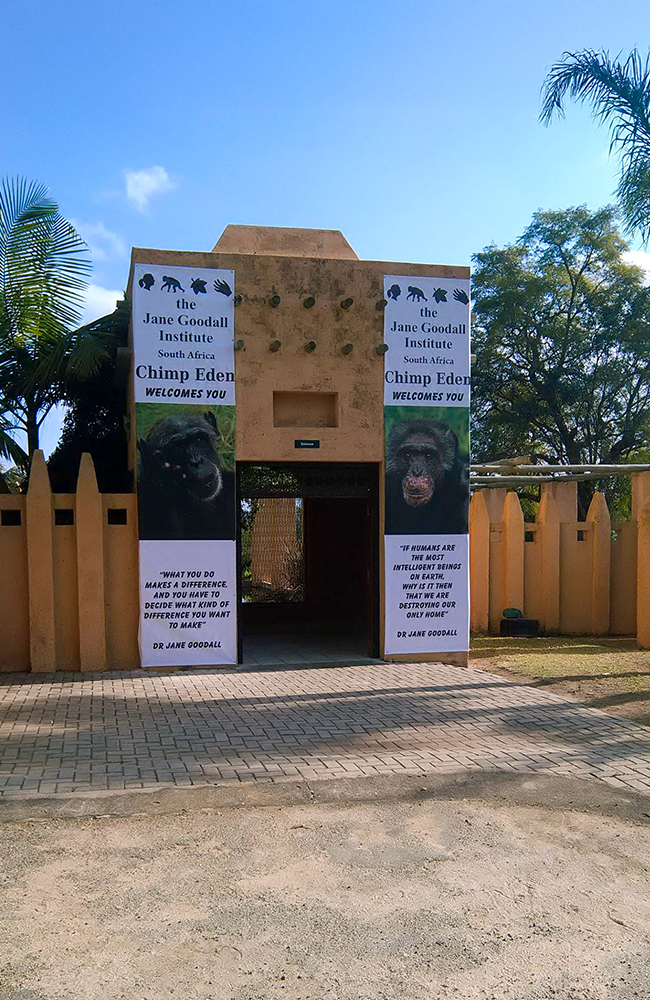 Chimp Eden - The Jane Goodall Institute | The Great Projects