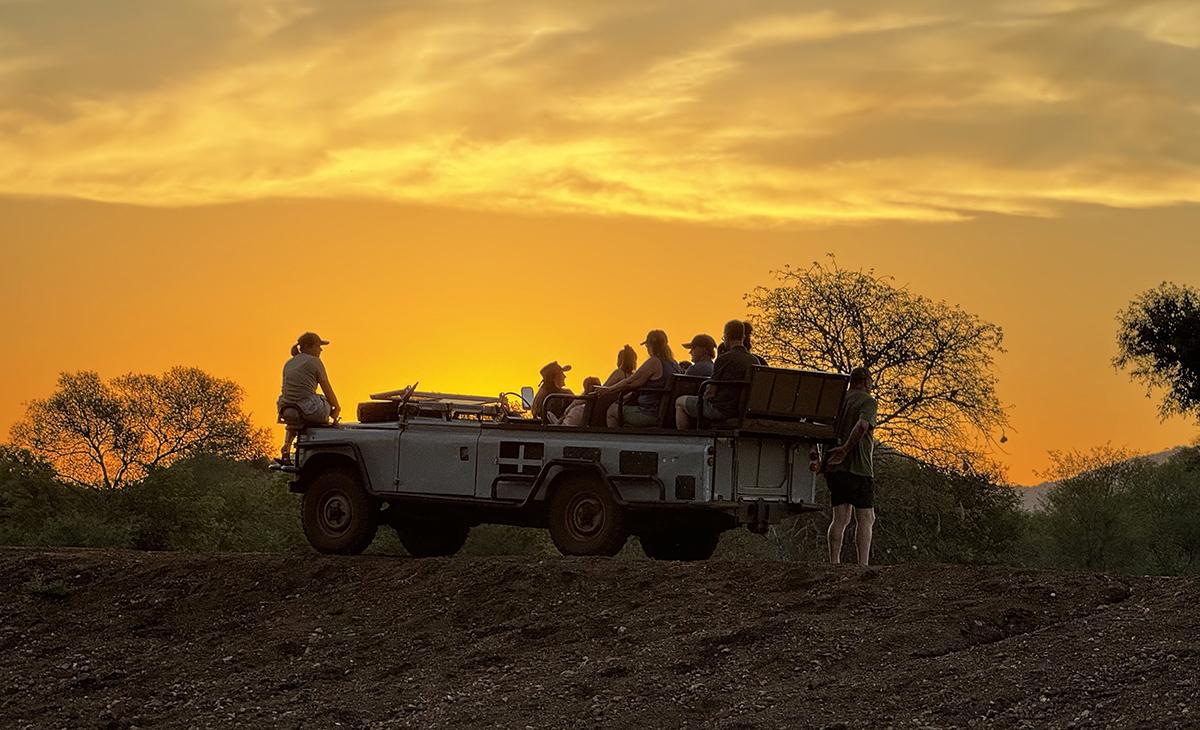 The Great Rhino Rescue Mission | The Great Projects